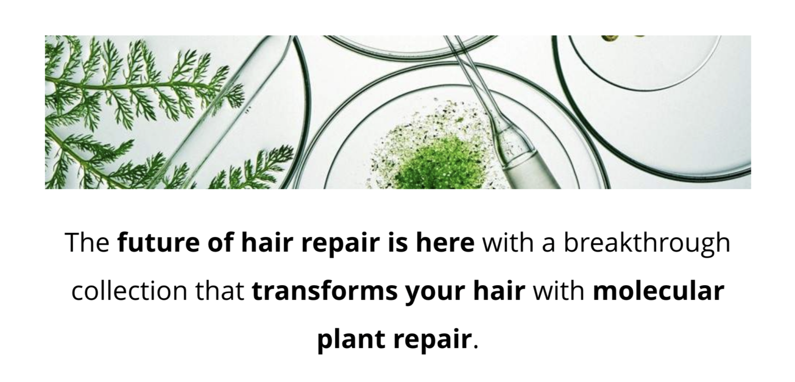 Botanical Repair - Aveda Institute Maryland Aveda Institute Maryland ...